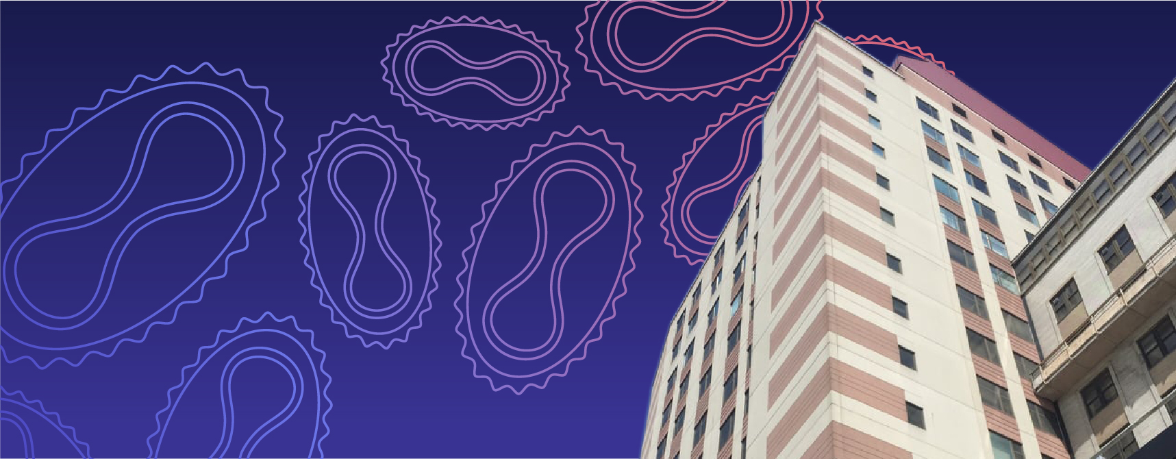 How BronxCare is leveraging Altera’s Sunrise EHR amid monkeypox ...