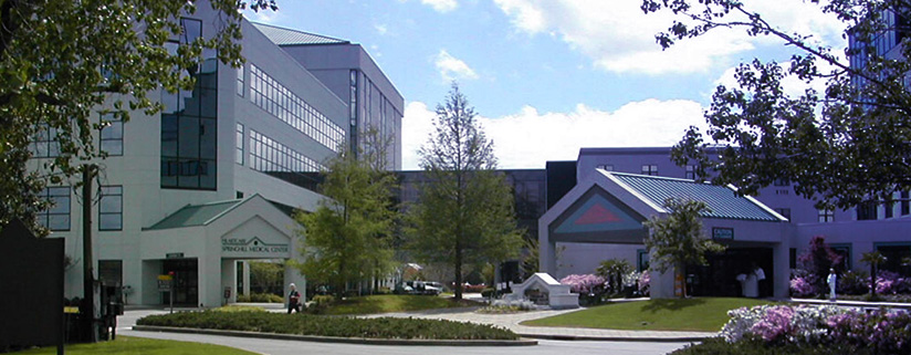 Managed Services at Springhill Medical Center: A testimony for success ...